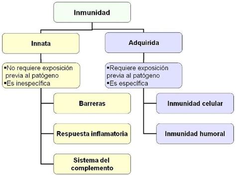 Genomasur