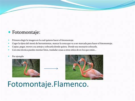 Ejercicios gimp tamara gonzalez 4ºa PPT