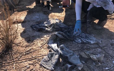 Hallan en Ciudad Juárez fosa clandestina con seis cuerpos Saber Politico