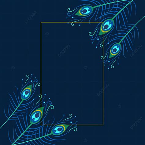 Peacock Feather Border Design