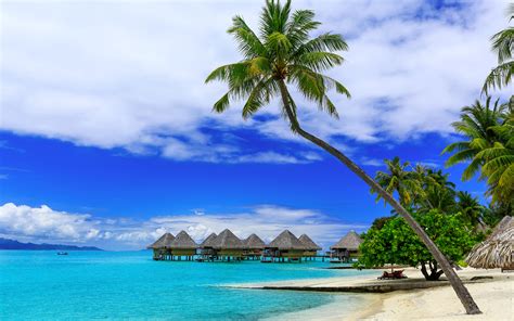 Introducir 81 imagen fond d écran bora bora fr thptnganamst edu vn