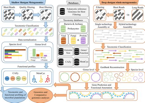 metannotatorx2 a comprehensive tool for deep and shallow metagenomic data set analyses msystems