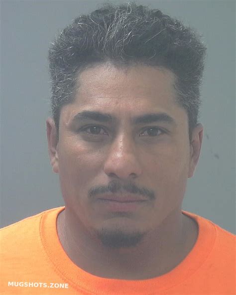 Mejia Almendarez Carlos Alfonso Santa Rosa County Mugshots