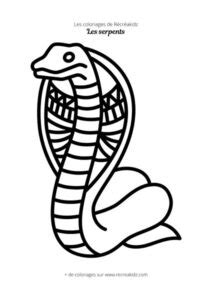 Coloriage Serpent Imprimer Pdf Dessin De Serpent Colorier Gratuit