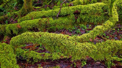 12 OLYMPUS DIGITAL CAMERA Karen Carthy Flickr