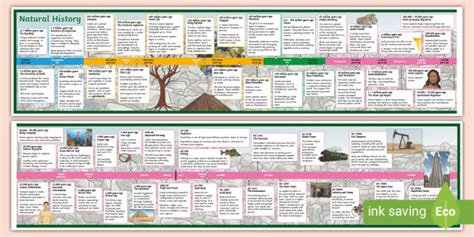 History Timeline Poster