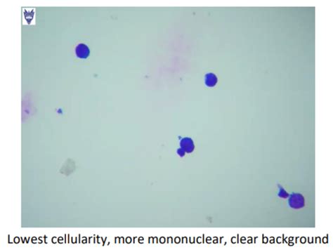 Cytology Flashcards Quizlet