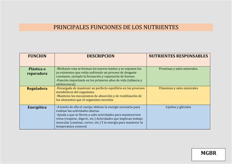 Principales Funciones DE LOS Nutrientes PRINCIPALES FUNCIONES DE LOS