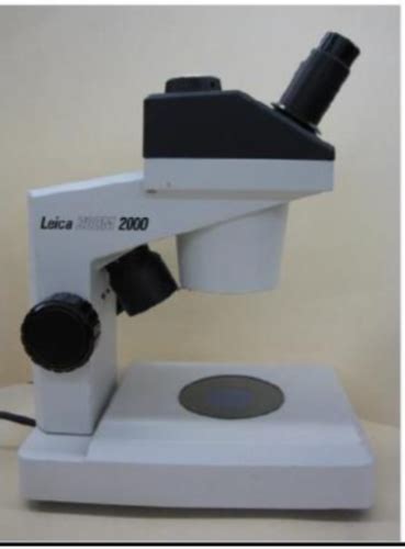 Microscopy Flashcards Quizlet