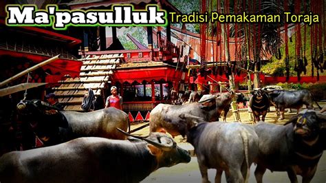 Ma Pasulluk Tradisi Pemakaman Rambu Solo Suku Toraja Almh Lusia Mallu