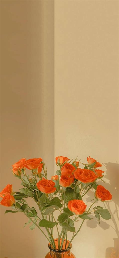 Pin By Isa On Prints Pattern Flower Wallpaper Flower Aesthetic