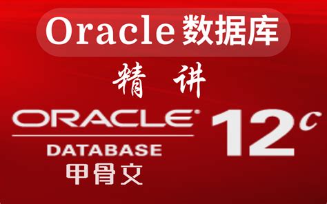 oracle从入门到精通教程 全套 数据库实战精讲 oracle大型数据库从入门到精通完整版教程（持续更新中） 哔哩哔哩 bilibili