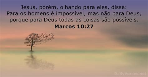 186 Versículos da Bíblia sobre Jesus DailyVerses net