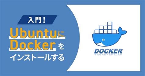 Docker Compose Up