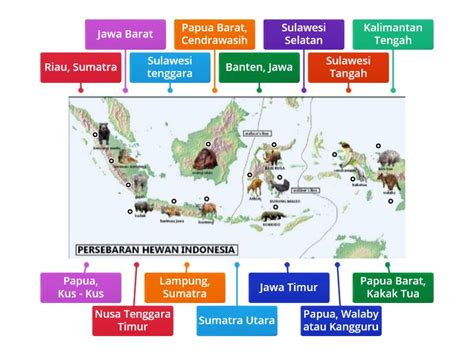 Peta Persebaran Satwa Di Indonesia Labelled Diagram The Best Porn Website