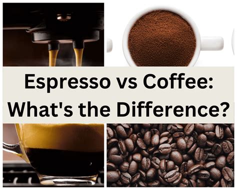 Espresso Vs Coffee What Makes These Drinks Different Drizzle Me
