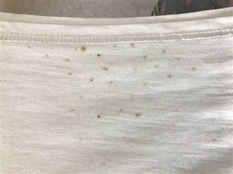 Why Are My Clothes Coming Out Of The Washer With Stains On