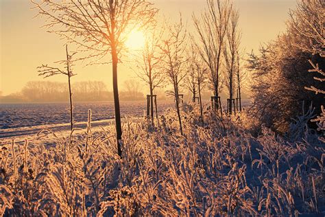 Bakgrundsbilder landskap träd natur skog gren snö vinter