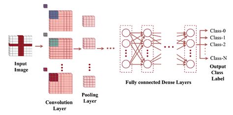 figure 2 from medical image segmentation using 3d convolutional neural networks a review