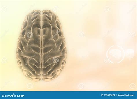 Medical 3D Illustration Human Brain Neurosurgery Analyzing Concept