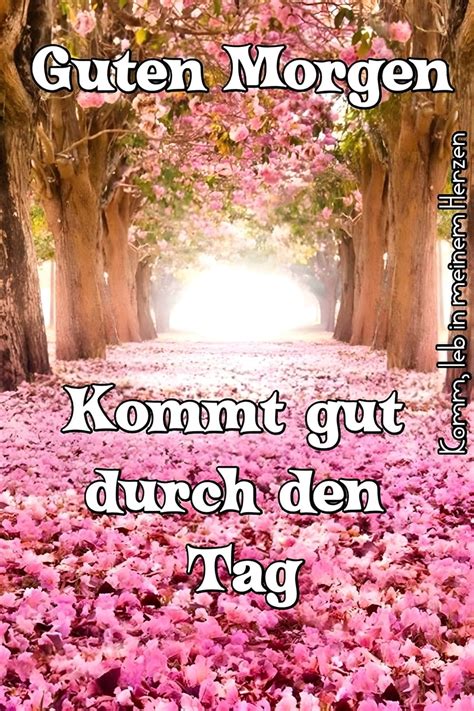 Guten Morgen Bilder Guten Morgen Gb Pics Seite Gbpicsonline