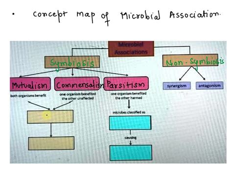 Solved Can Someone Help Me Chap Homework Microbial Nutrition Drag