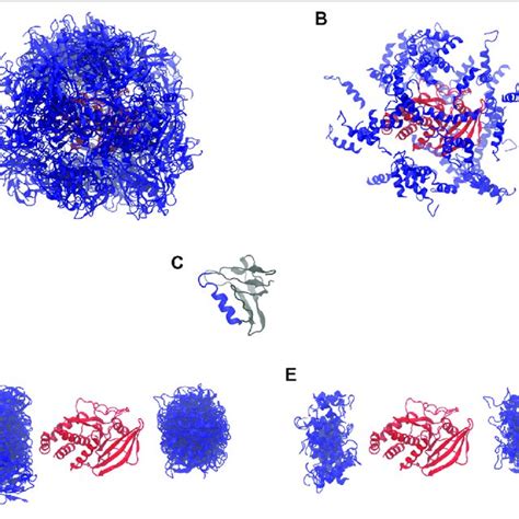 self organizing maps soms of the three calculation stages a download scientific diagram