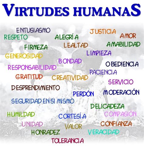 Koch In Der Regel Kontinuierlich Que Son Las Cualidades De Una Persona