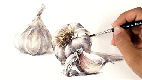 Watercolor Painting Garlic Watercolor Paintings Nature Vegetable