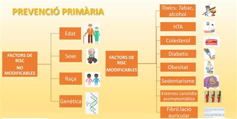 Qu Son Los Factores De Riesgo Vascular Frv