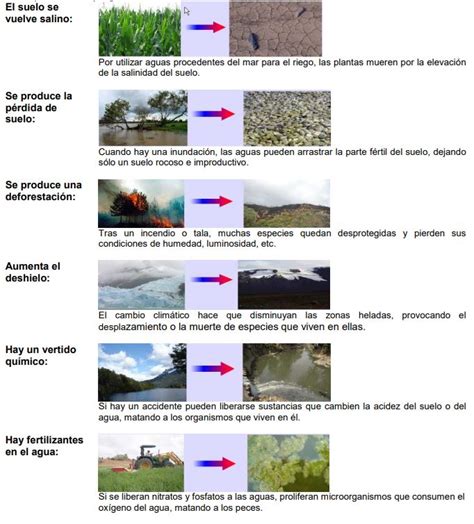 Biotopo Qués es tipos componentes y ejemplos OVACEN