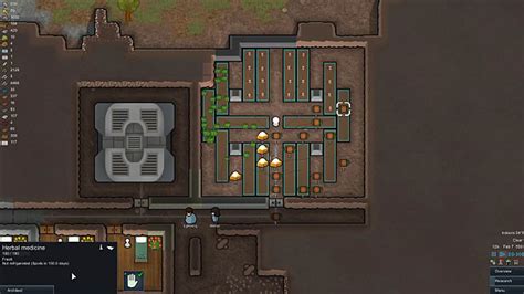 How To Make Medicine In RimWorld GameSkinny