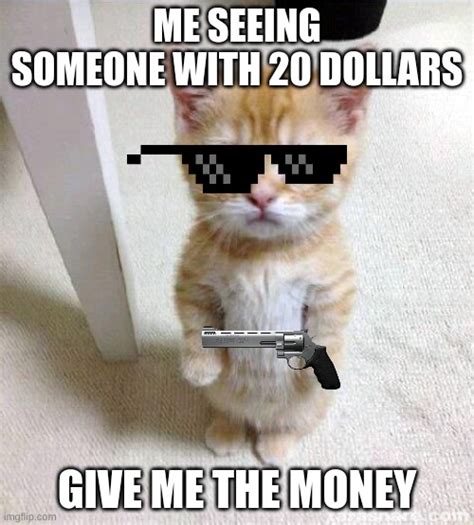 Cute Cat Meme Imgflip