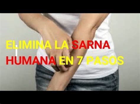 Como Eliminar La Sarna Humana Remedios Contra La Sarna Humana