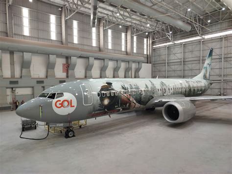 Universal Orlando e Gol lançam avião temático de Harry Potter Blog