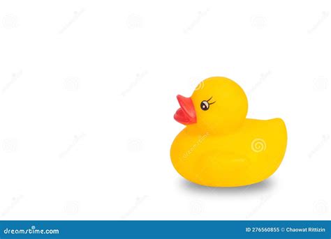 Rubber Duck Isolated On White Background Stock Image Image Of Duck