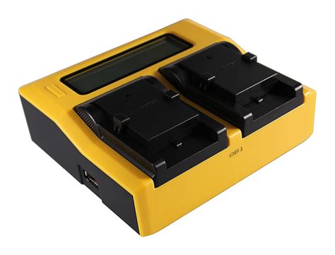 PATONA Dual USB Ladegerät für Li 10B PTS Trading
