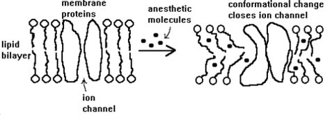 Medicinal Chemistry Ii Exam Flashcards Quizlet