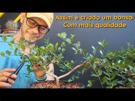 O Processo De Cultivar Um Bonsai De Acerola Um Guia Detalhado YouTube