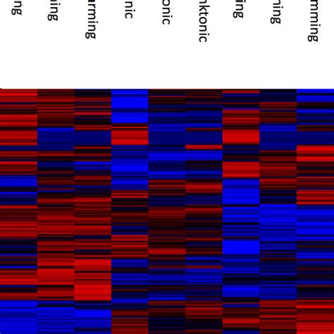 Heat Map Of Gene Expression Comparisons Of Gene Expression Patterns Of