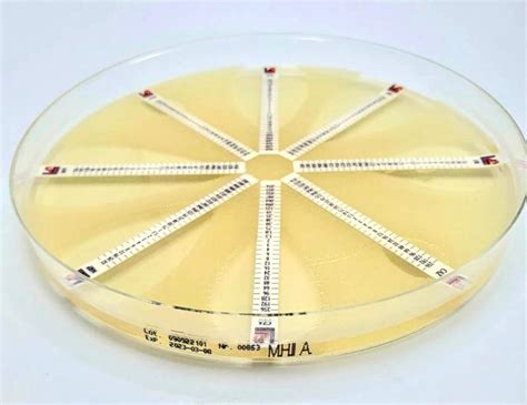 Mueller Hinton II Agar EWC Diagnostics