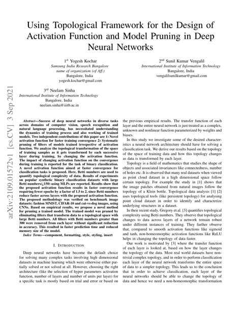 pdf using topological framework for the design of activation function and model pruning in