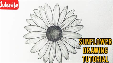 C Mo Dibujar Un Girasol F Cil Para Principiantes Tutorial De Dibujo