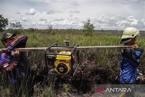 Sepuluh Hektare Lahan Gambut Di Palangka Raya Terbakar Antara News