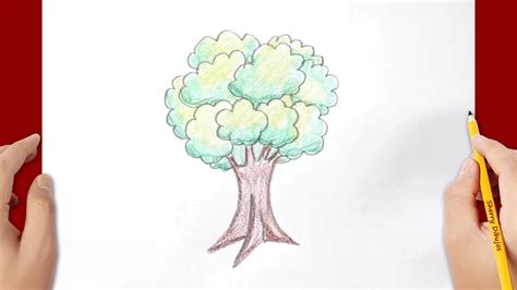 Cómo dibujar un árbol Dibujo de un árbol