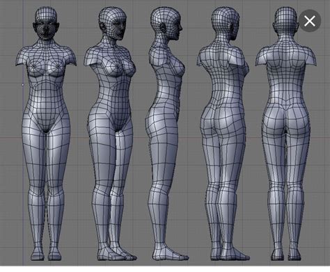 Blender Female Human Blueprint