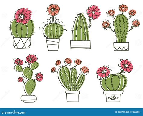 Cactuses Hand Drawn Outline Cactus With Flowers Stock Illustration