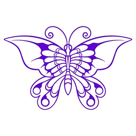 Premium Vector Vector Beautiful Butterfly