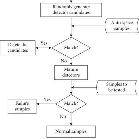 flowchart of negative selection algorithm download scientific diagram