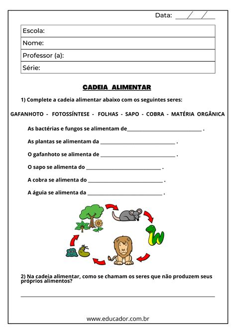 Atividades Sobre Cadeia Alimentar Para Ano Educador